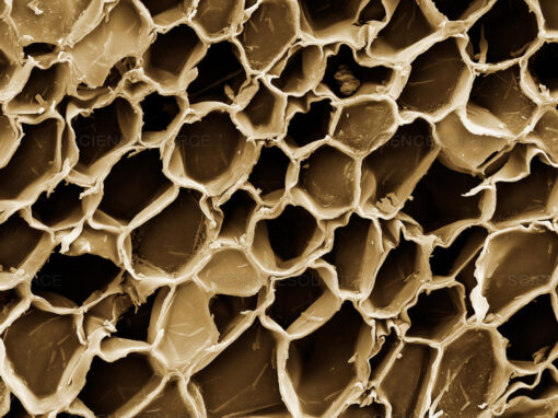 How Cork Reduces Vibration In Buildings And Bridges - ICork Floor